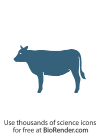 Free Cow (symbol) Icons, Symbols & Images | BioRender