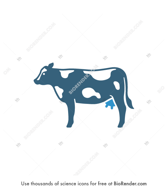 Free Dairy cow (symbol) Icons, Symbols & Images | BioRender