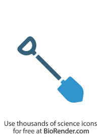 Free Garden spade (symbol) Icons, Symbols & Images | BioRender