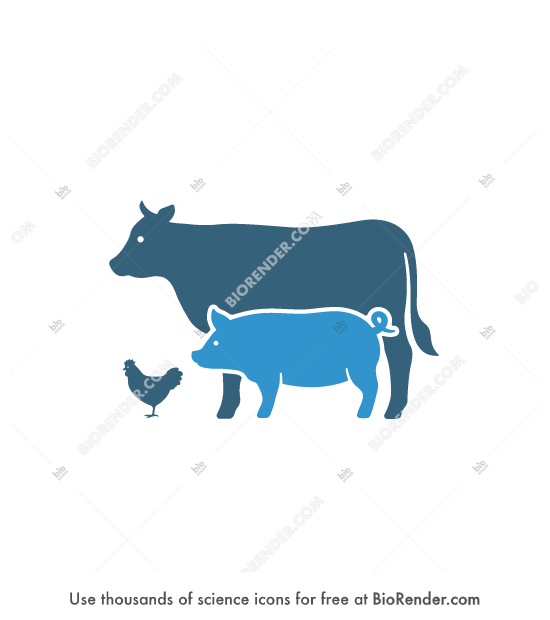 Free Livestock (symbol) Icons, Symbols & Images | BioRender