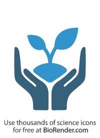 Free Hands and seedling (symbol) Icons, Symbols & Images | BioRender