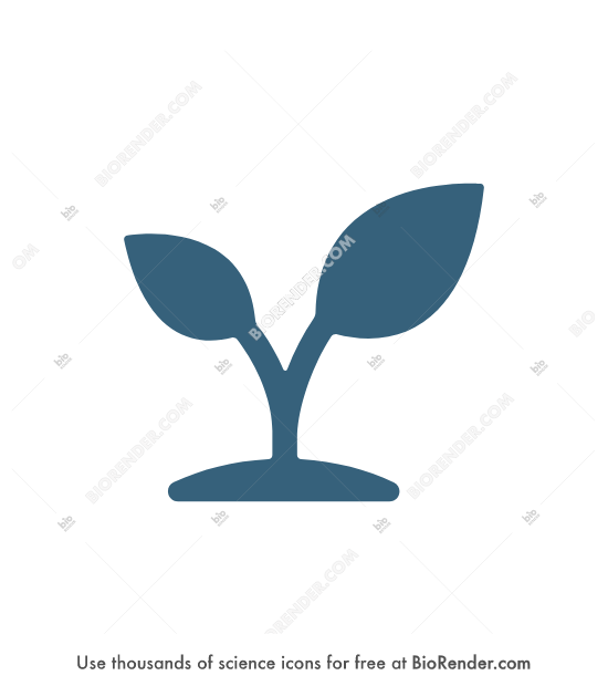 Free Seedling (symbol) Icons, Symbols & Images | BioRender