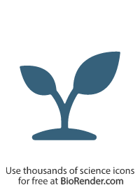 Free Seedling (symbol) Icons, Symbols & Images | BioRender
