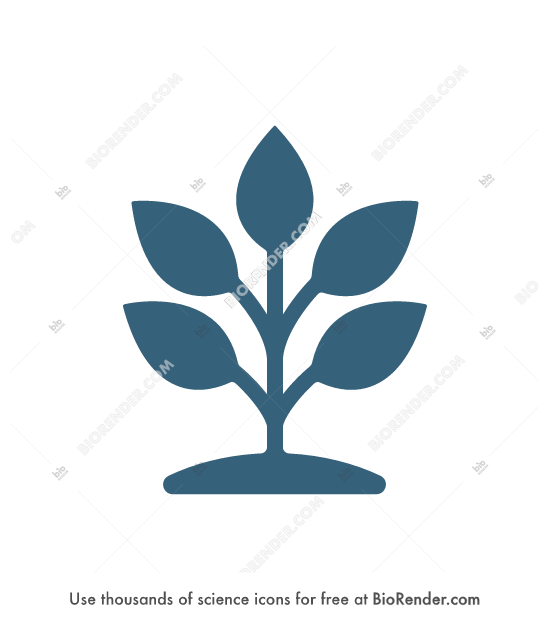 Free Plant (symbol) Icons, Symbols & Images | BioRender