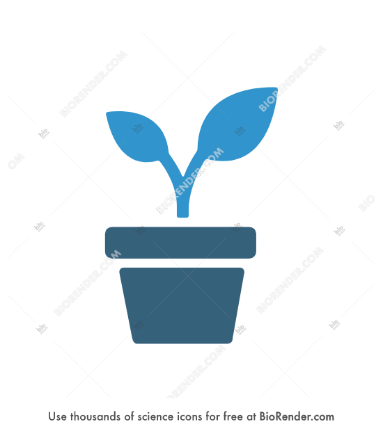 Free Seedling (in pot, symbol) Icons, Symbols & Images | BioRender