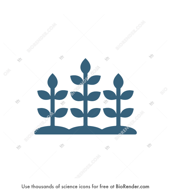 Free Row crop (symbol) Icons, Symbols & Images | BioRender