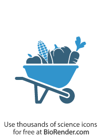 Free Wheelbarrow (with produce, symbol) Icons, Symbols & Images | BioRender