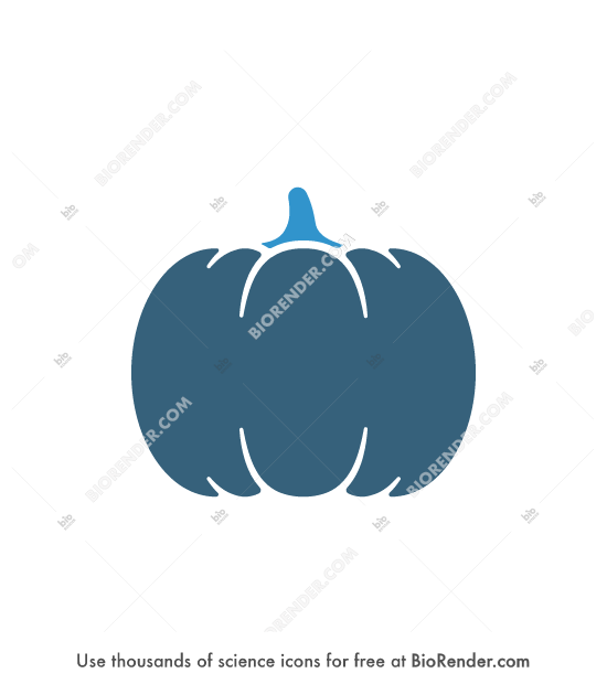 Free Pumpkin (symbol) Icons, Symbols & Images | BioRender