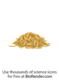 Free Rice husk (pile) Icons, Symbols & Images | BioRender