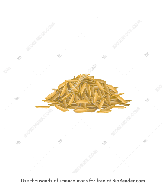 Free Rice husk (pile) Icons, Symbols & Images | BioRender