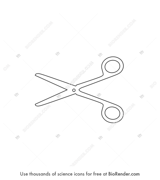 Free Scissors outline (symbol) Icons, Symbols & Images | BioRender