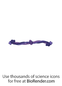 Free Hemoglobin (with heme groups) Icons, Symbols & Images | BioRender