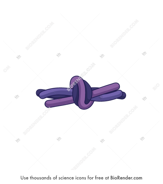 Free Fibrin (e-fragment) Icons, Symbols & Images | BioRender