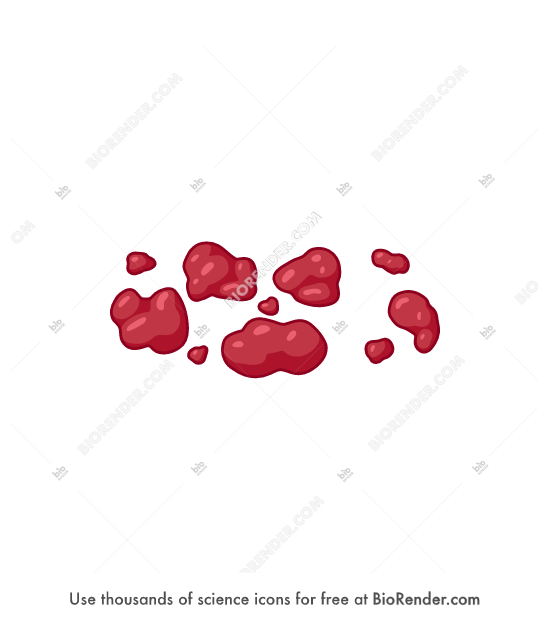 Free Blood clot (dissolving) Icons, Symbols & Images | BioRender