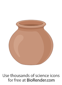 Free Earthen pot Icons, Symbols & Images | BioRender