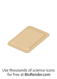 Free Transdermal patch (3/4 view) Icons, Symbols & Images | BioRender