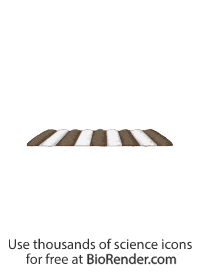 Free Land (soil, dry) Icons, Symbols & Images | BioRender