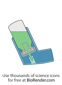 Free Inhaler (cross-section) Icons, Symbols & Images | BioRender