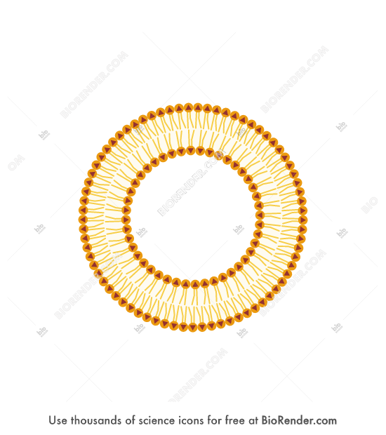 Free Phytosome (with active compound) Icons, Symbols & Images | BioRender