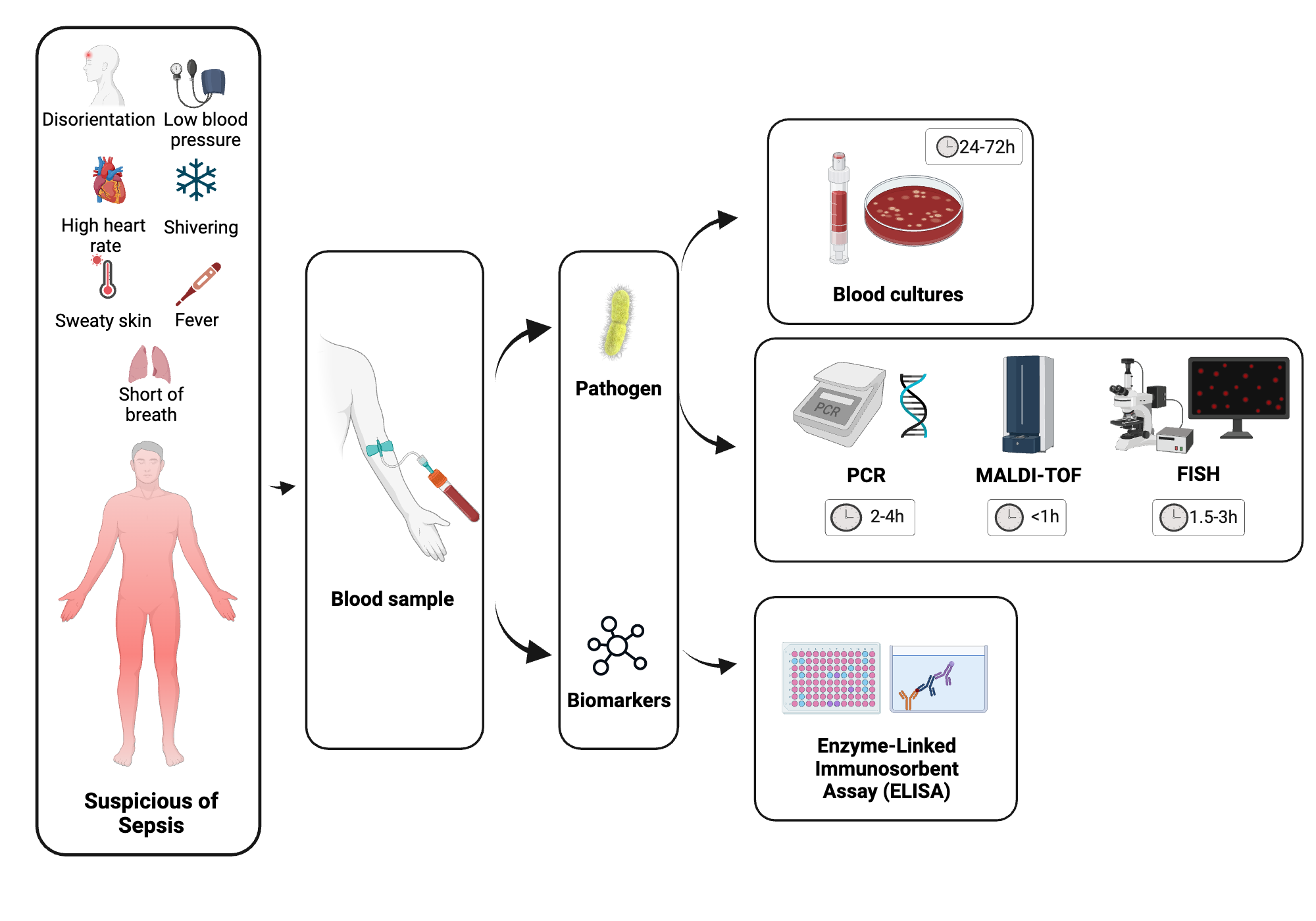 Technologies for the diagnosis of Sepsis | BioRender Science Templates