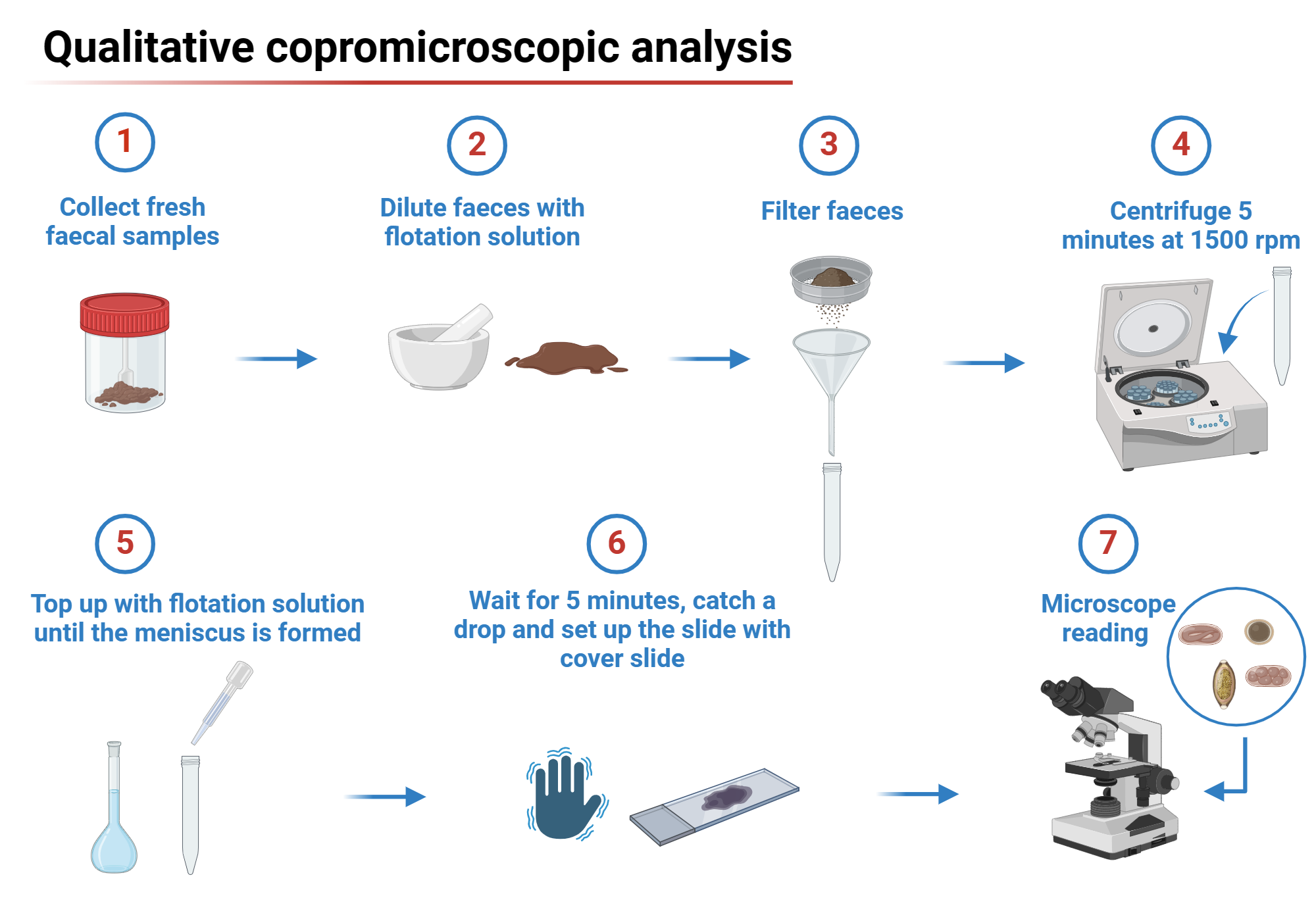 Qualitative microscopic analysis for faecal samples | BioRender Science ...