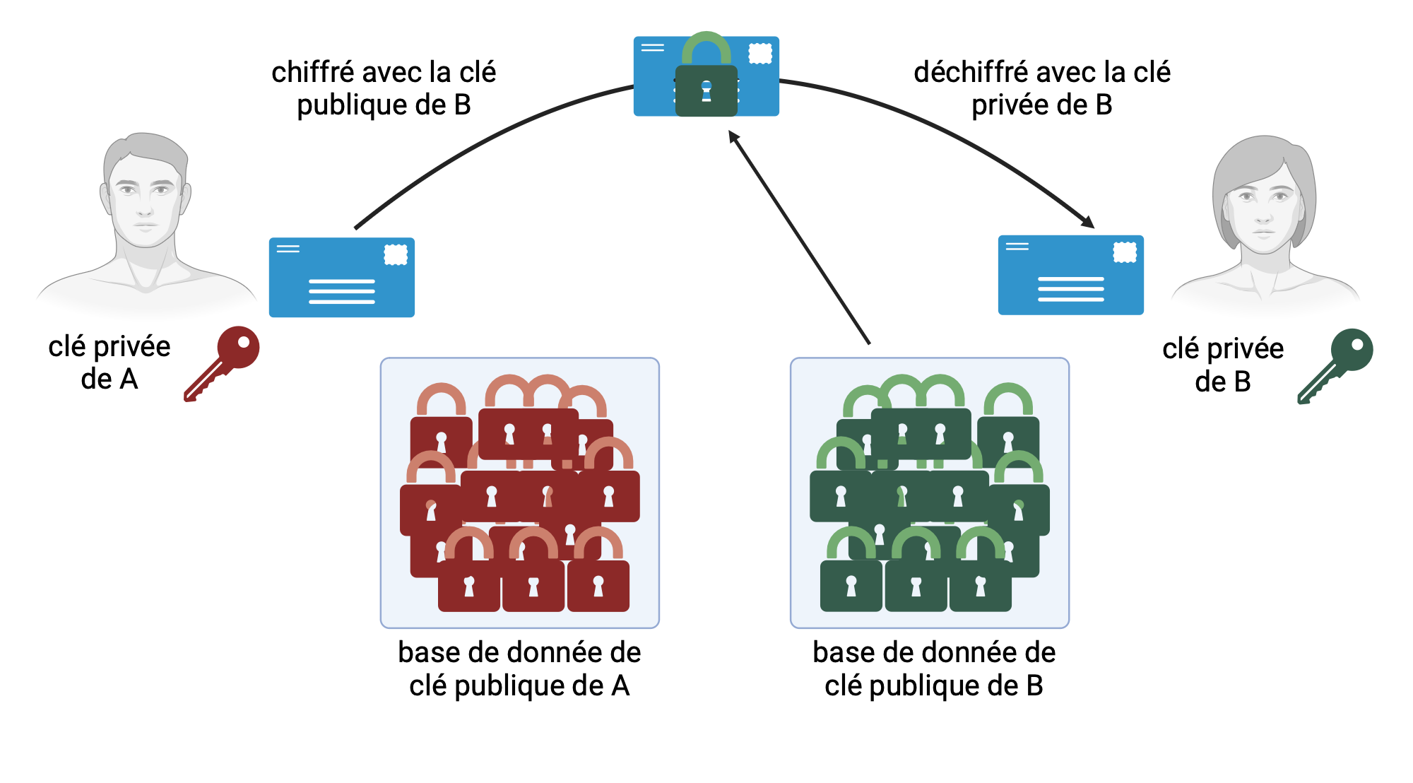 Chiffrement asymétrique simple d'une information | BioRender Science ...