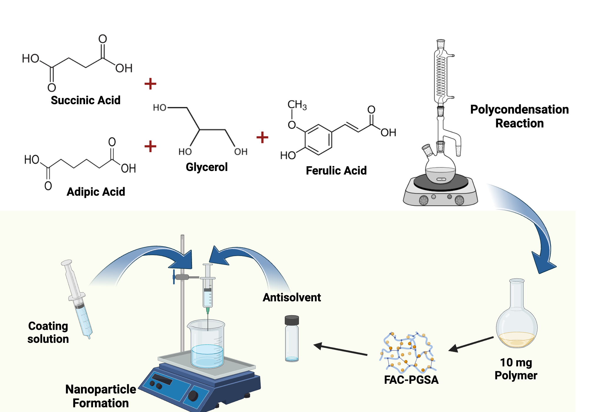 polyglycerol polymer synthesis and ferulic acid nanoparticle formation ...