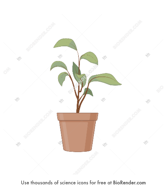 Free Generic plant (in plant pot) Icons, Symbols & Images | BioRender