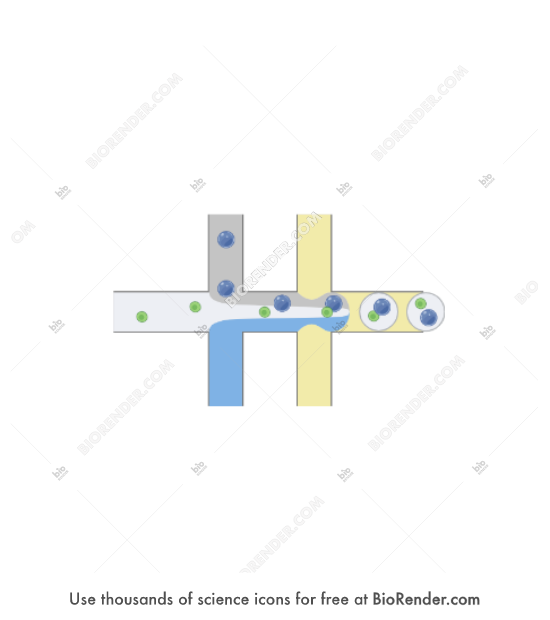 Free Single-cell sequencing Icons, Symbols & Images | BioRender