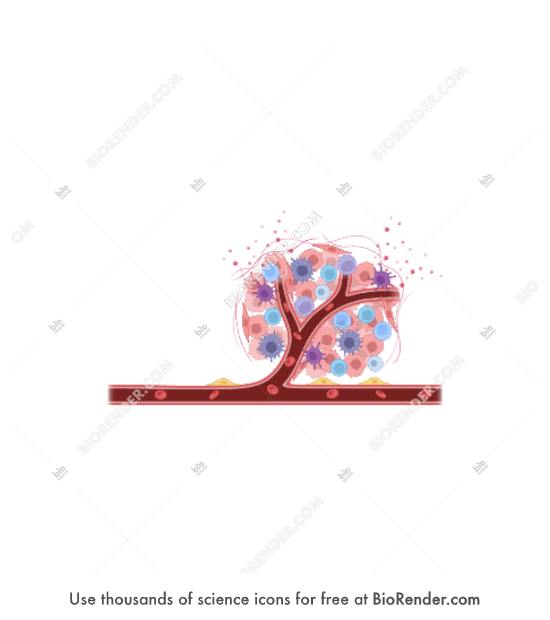 Free Tumor microenvironment 1 Icons, Symbols & Images | BioRender