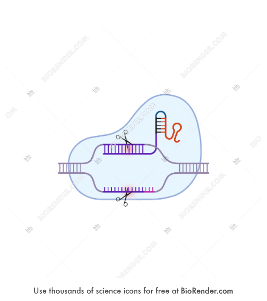 Free CRISPR-Cas9 genetic scissors Icons, Symbols & Images | BioRender