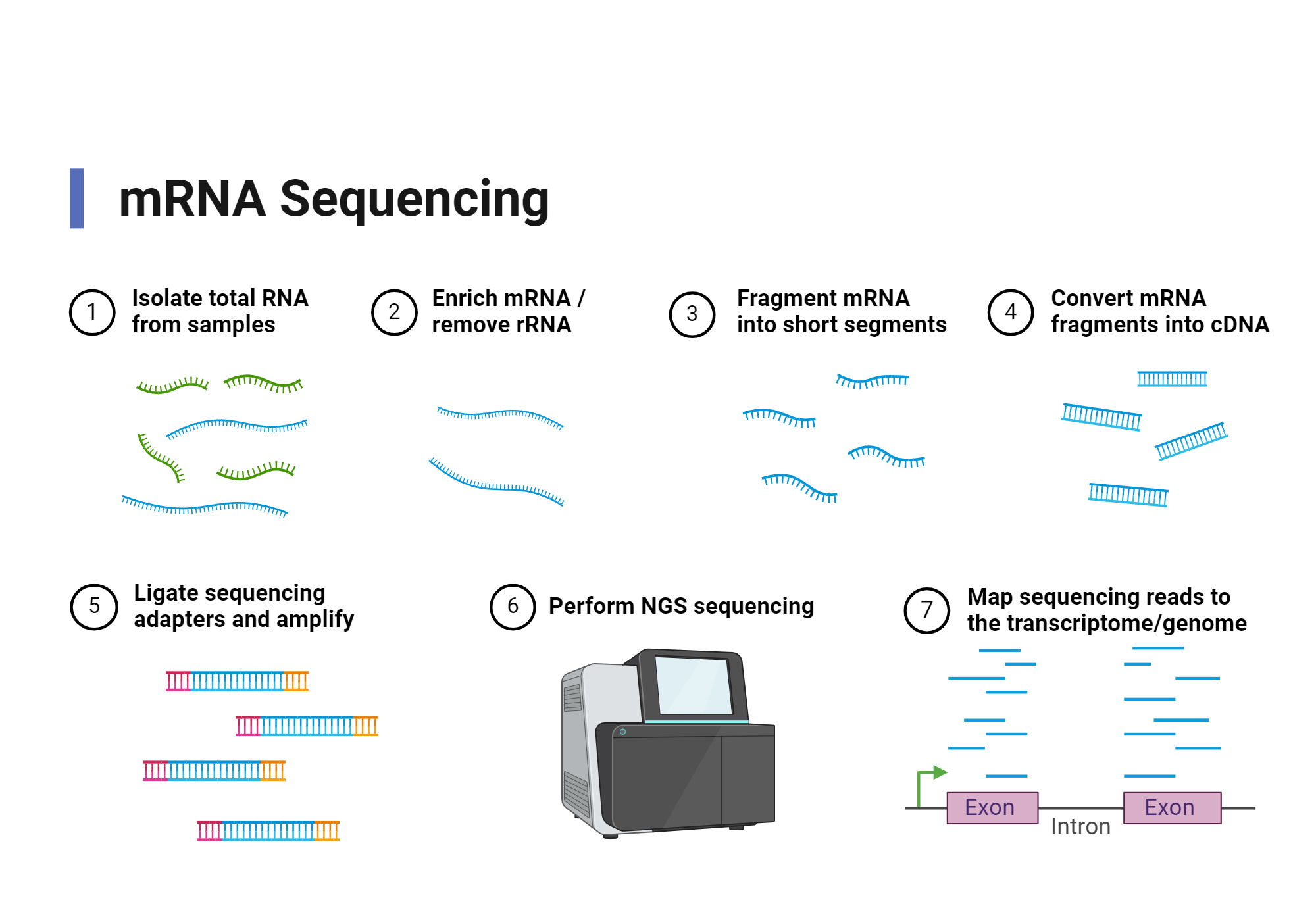 Make scientific figures in minutes using existing templates.
