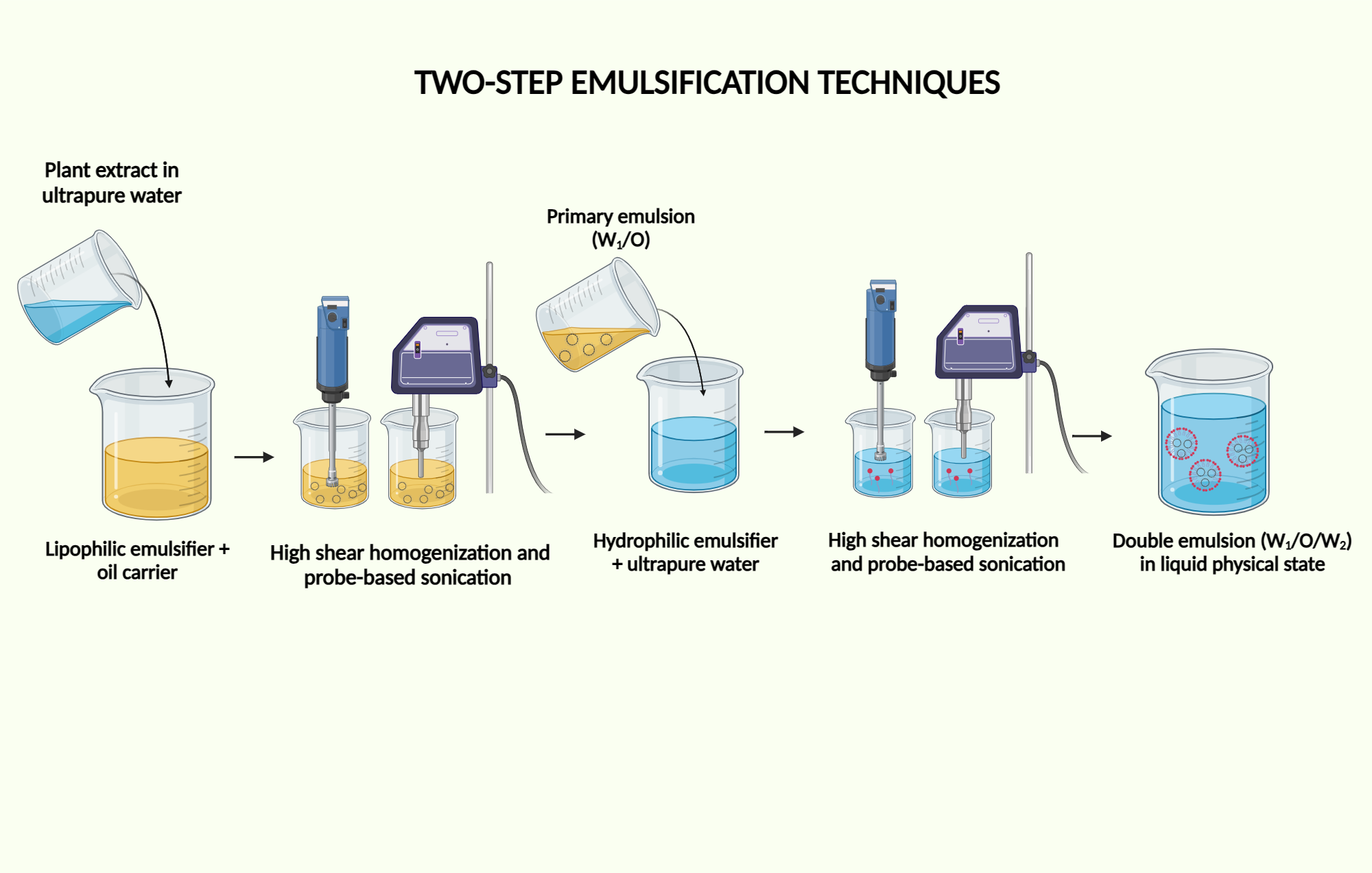 Two-step emulsification technique for forming double emulsion drug ...