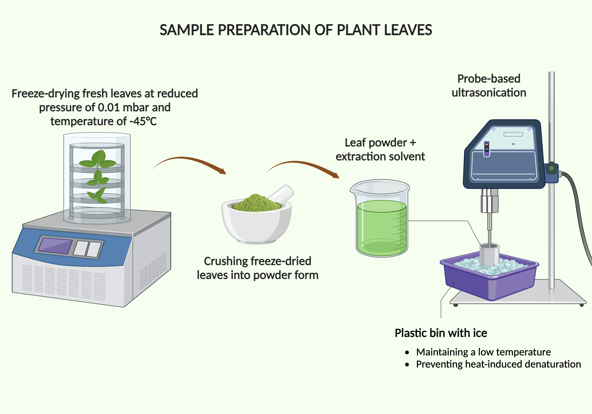 Ultrasound Assisted Extraction Of Plant Leaves Biorender Science Templates