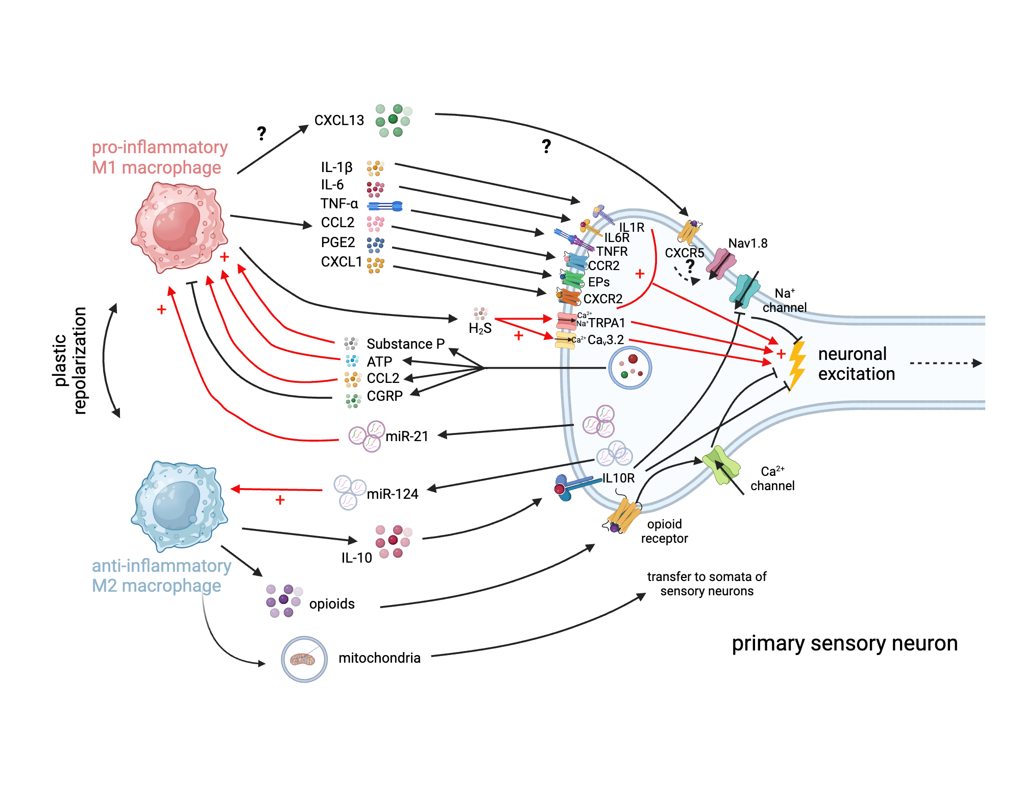 Make scientific figures in minutes using existing templates.