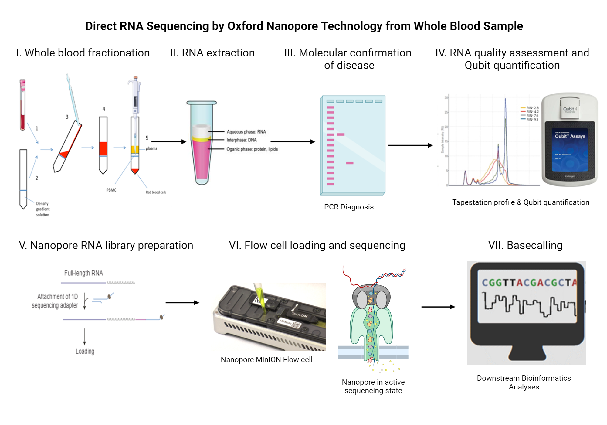 Workflow - Direct RNA sequencing of whole blood sample for disease markers by Oxford Nanopore ...
