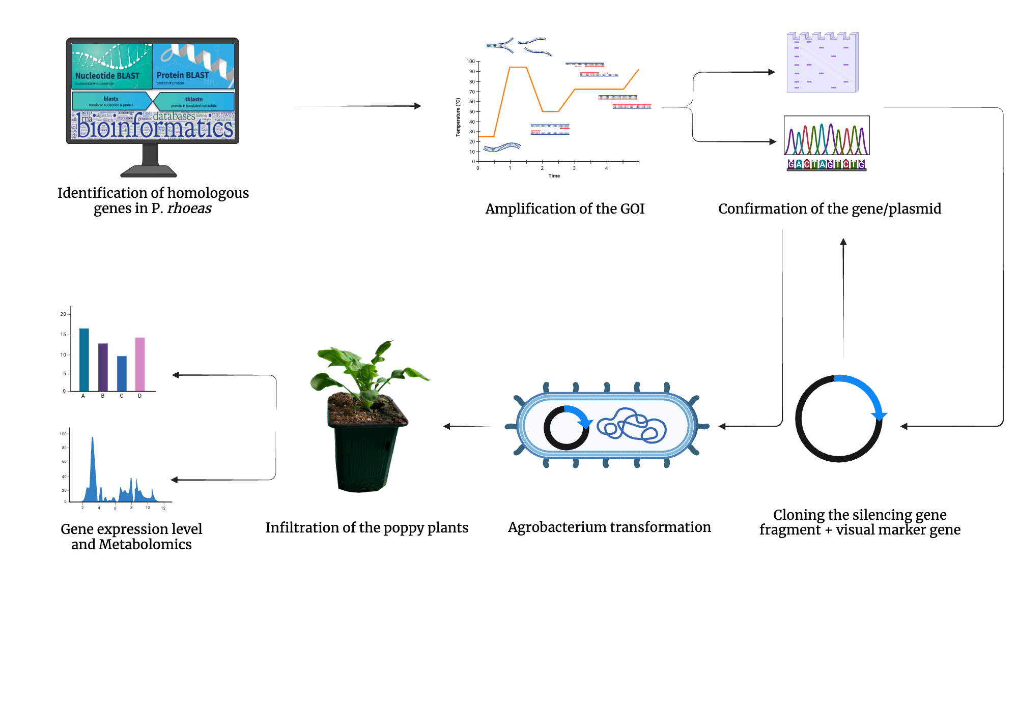 Make scientific figures in minutes using existing templates.