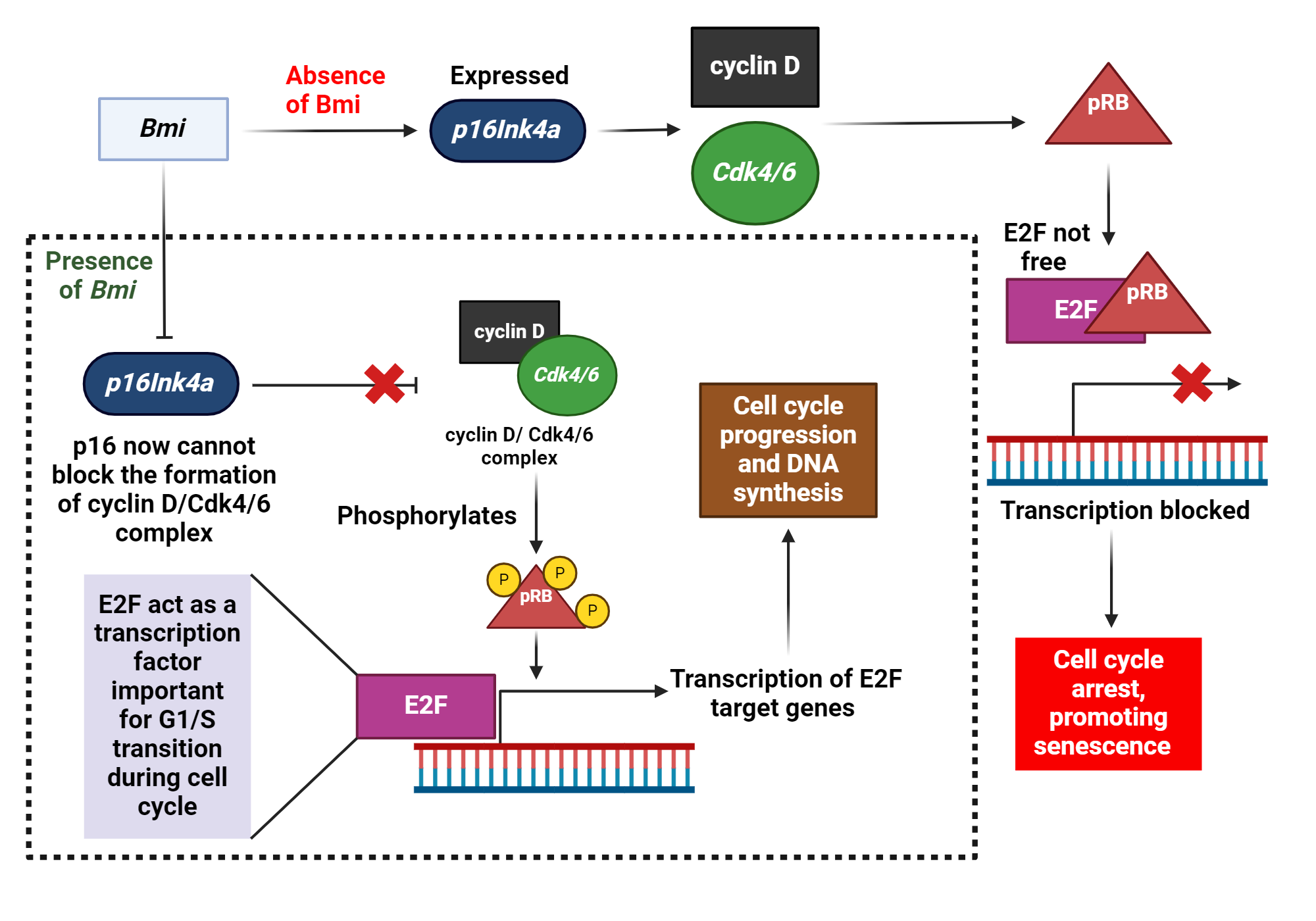 Make scientific figures in minutes using existing templates.