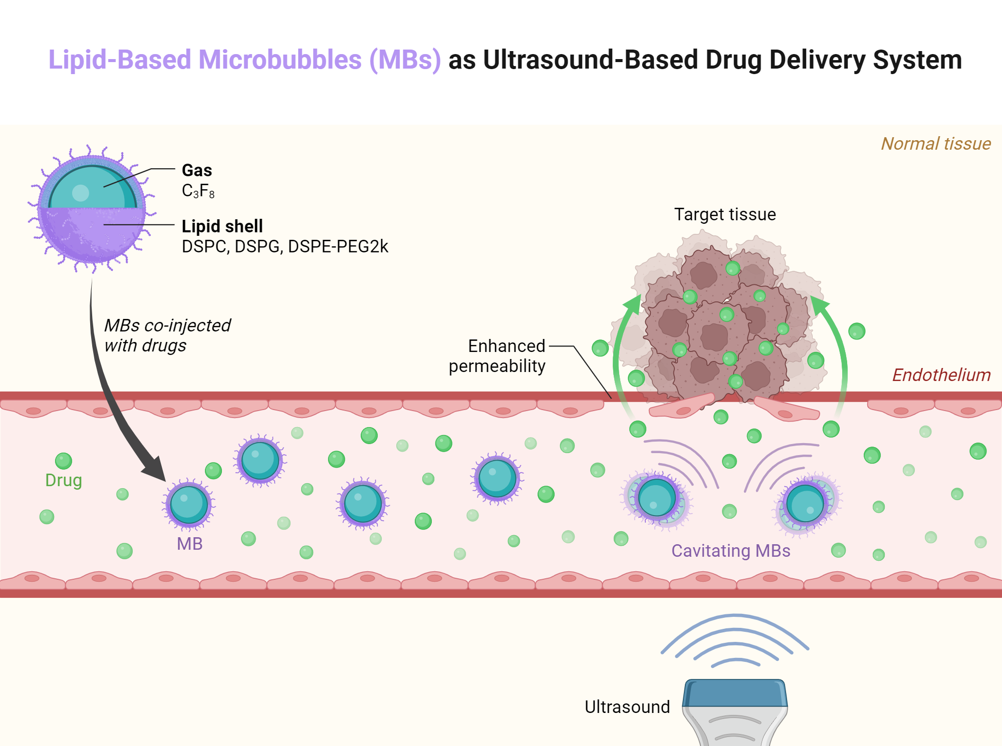 Lipid-Based Microbubbles as Ultrasound-Based Drug Delivery System ... Lipid-Based Microbubbles as Ultrasound-Based Drug Delivery System ...