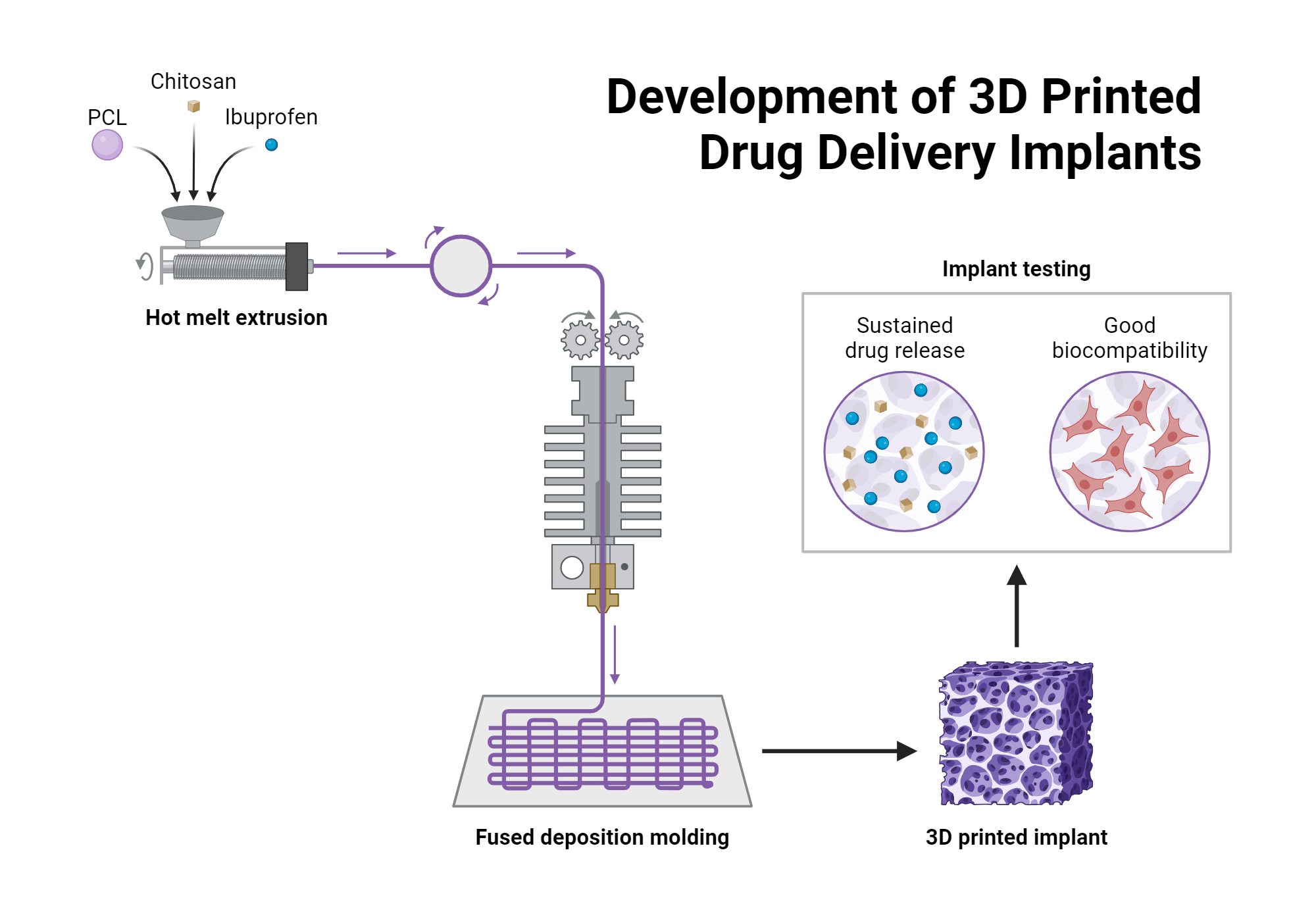 Development of 3D Printed Drug Delivery Implants | BioRender Science ...