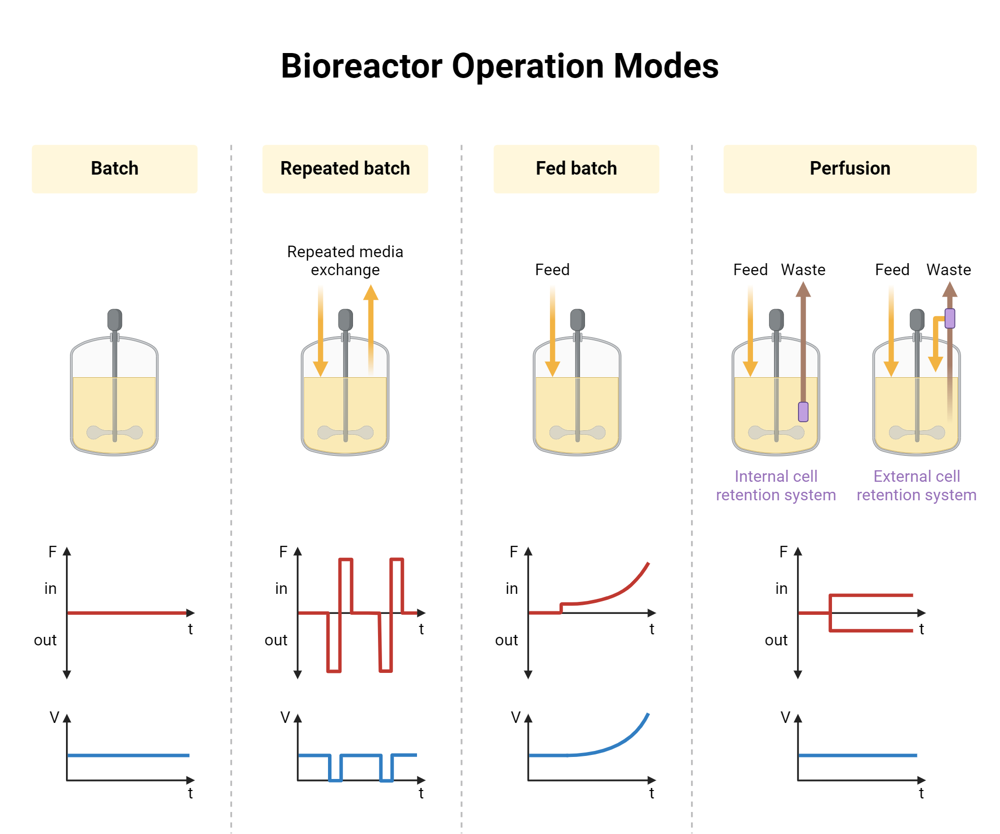 Bioreactor Operation Modes Biorender Science Templates