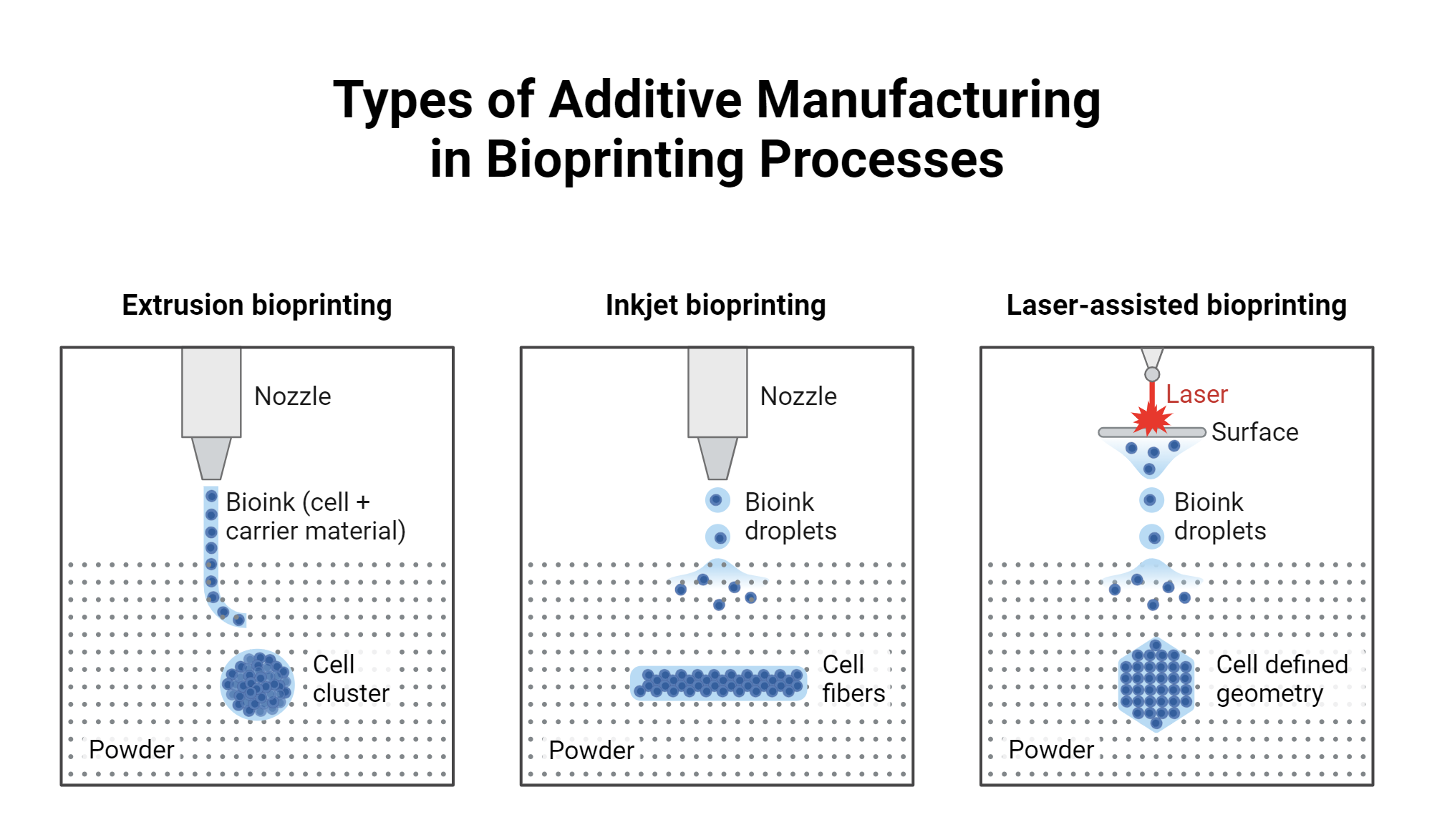 Types of Additive Manufacturing in Bioprinting Processes | BioRender ...