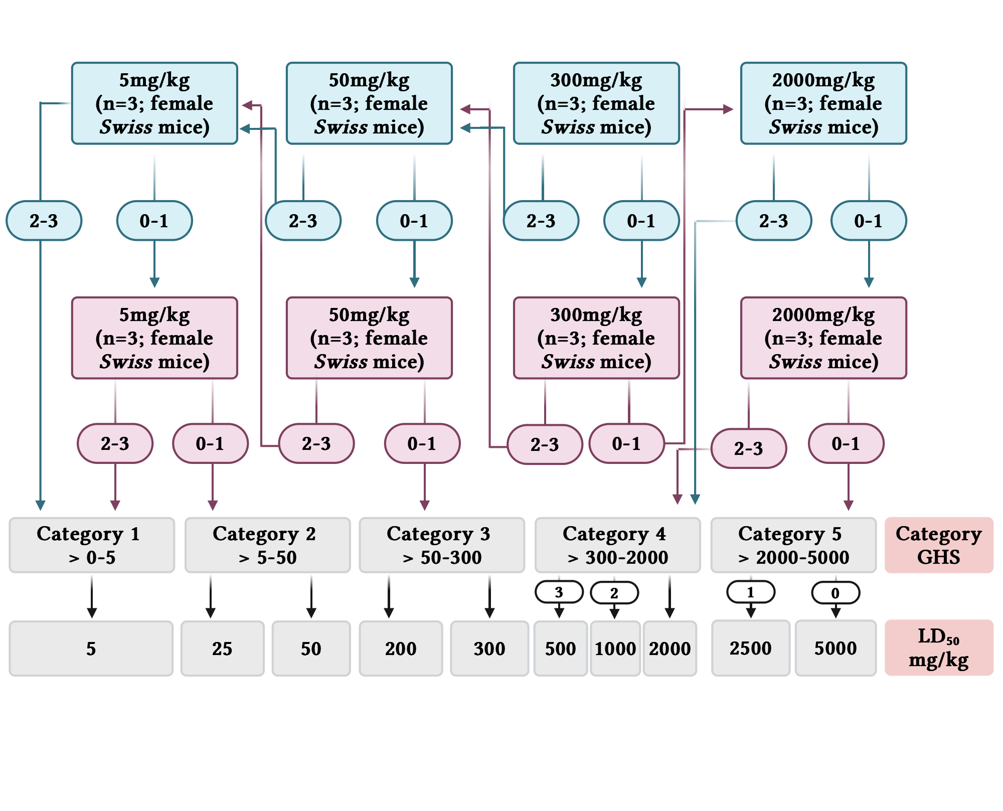 Procedure for assessing acute oral toxicity according to OECD protocol ...