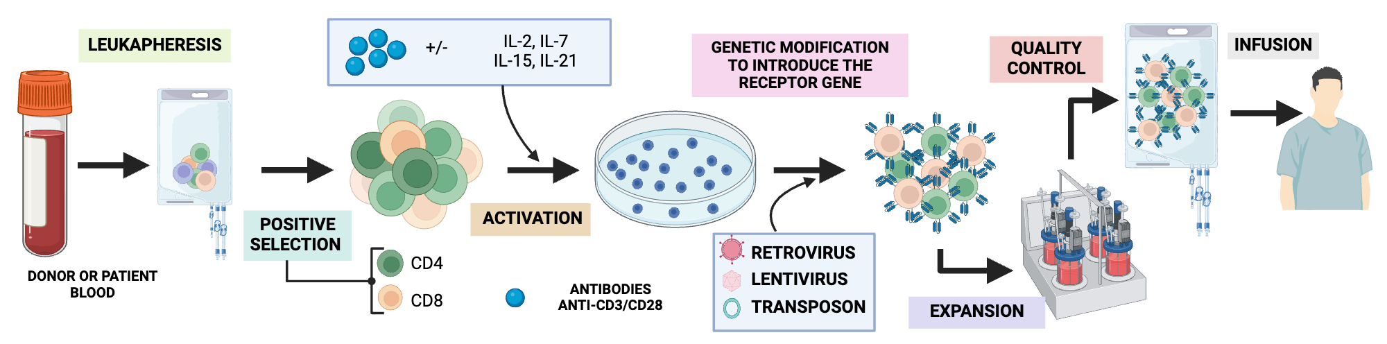 Production of GMP grade CAR-T cells | BioRender Science Templates