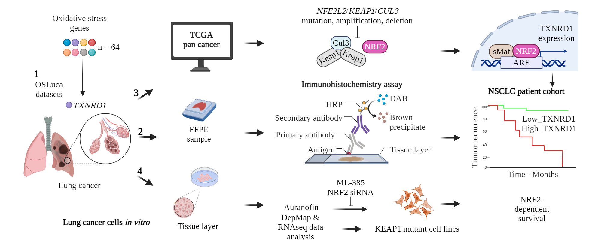Txnrd1 And Nrf2 Pathway Activation In Tumor Recurrence In Nsclc