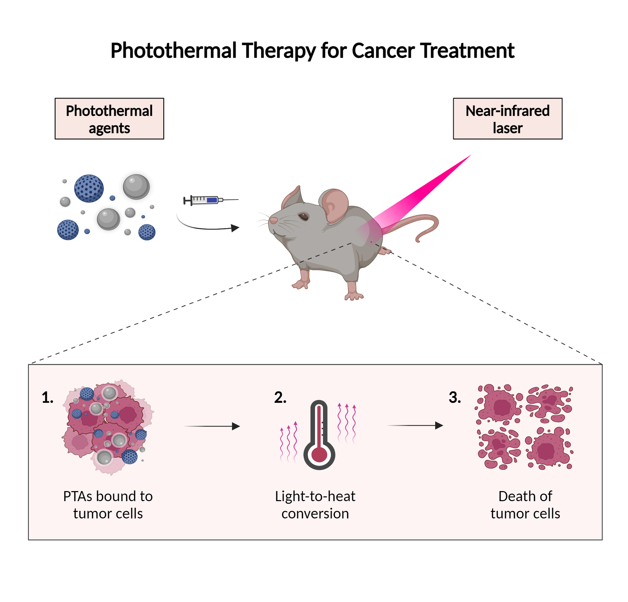 Photothermal Therapy for Cancer Treatment | BioRender Science Templates