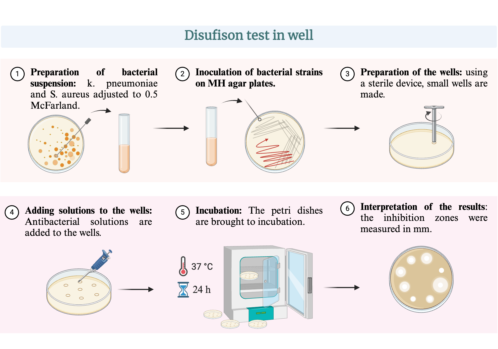Difusion test in well | BioRender Science Templates