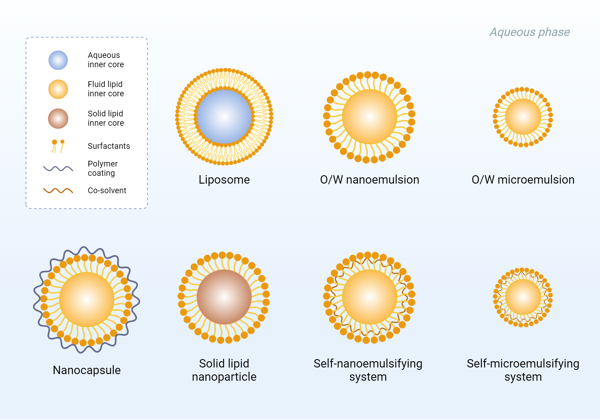 Lipid Based Nanocarriers In Oral Drug Delivery Biorender Science Templates