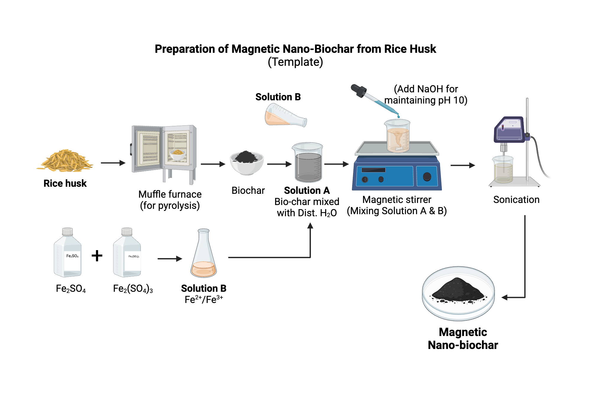 Preparation of Magnetic Nano-Biochar from Rice Husk | BioRender Science ...