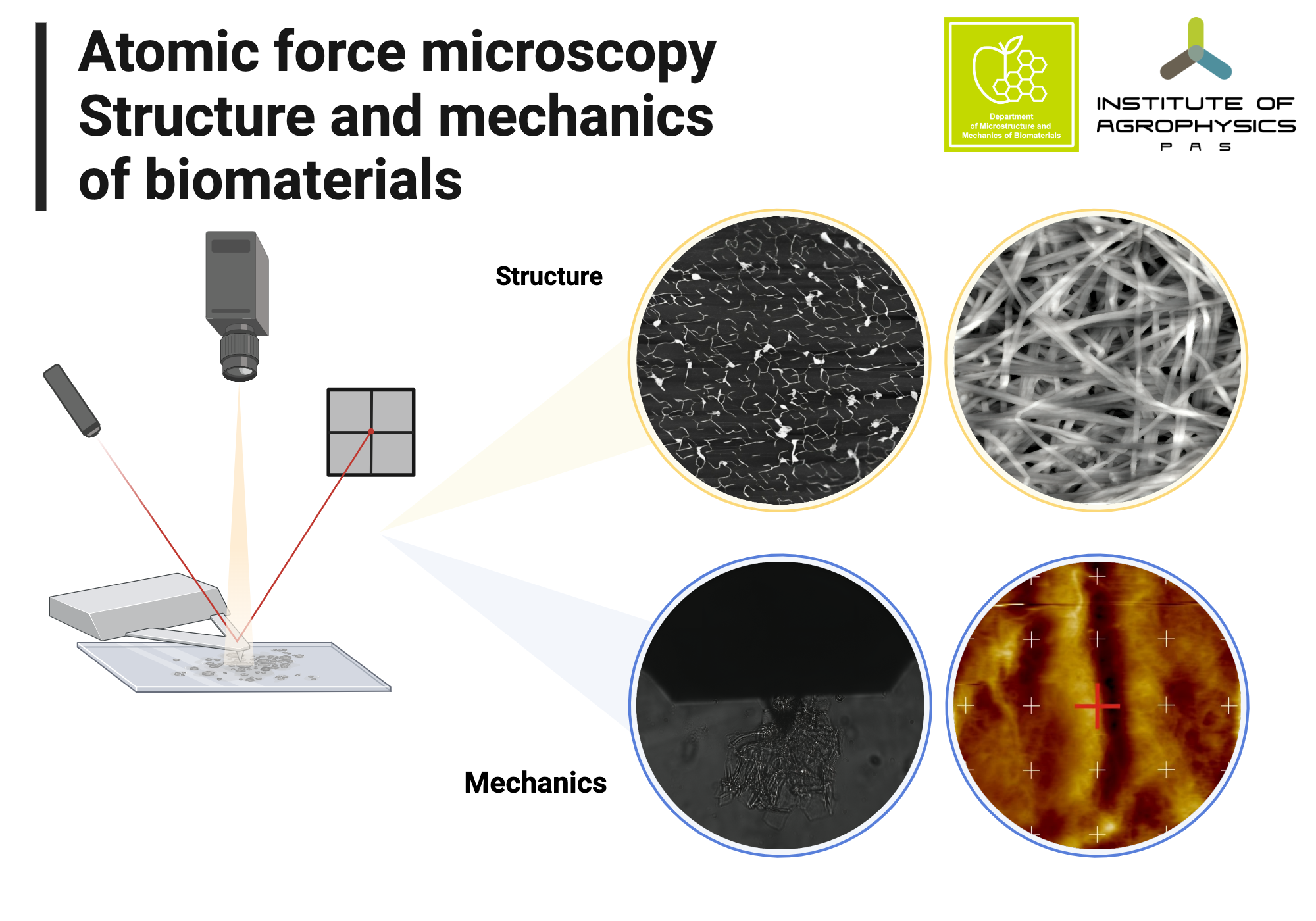 Atomic Force Microscopy Afm Eyes And Fingers Of Nanostructure And